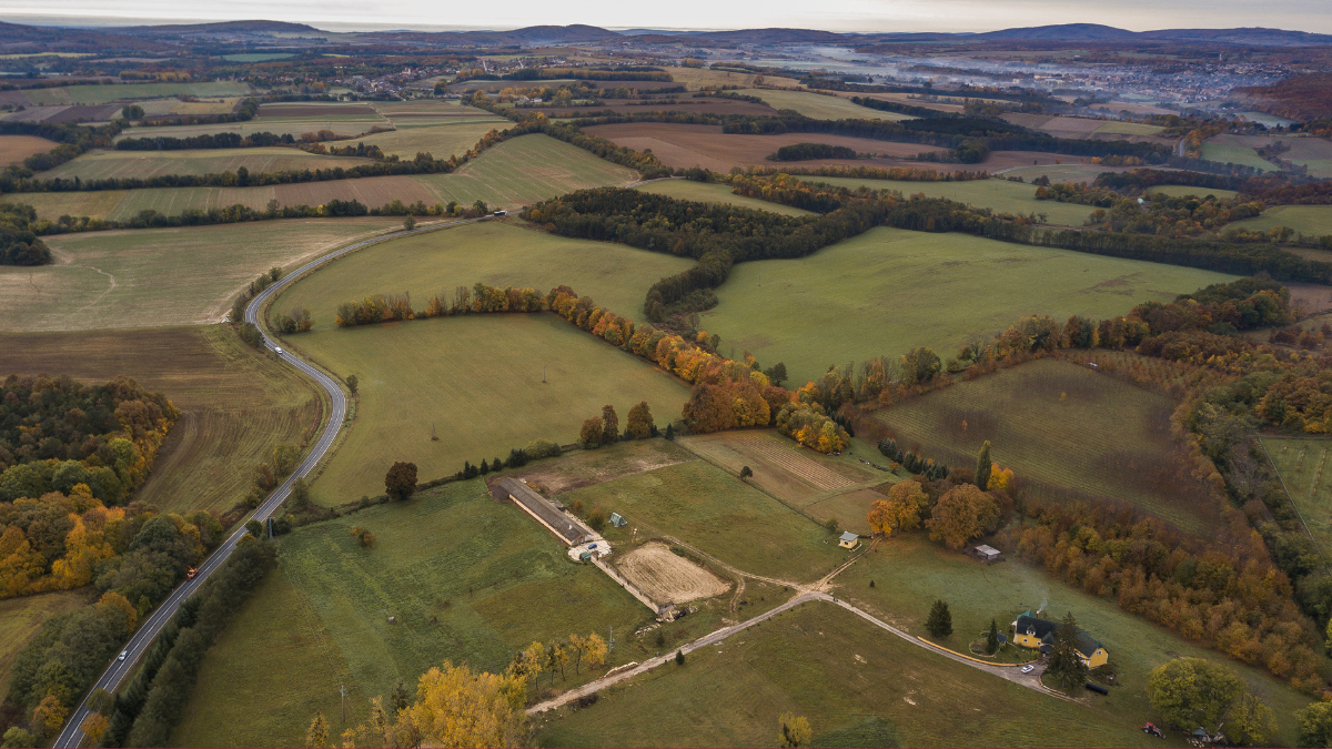 Guide to Compulsory Purchase Orders - Beverley Morris